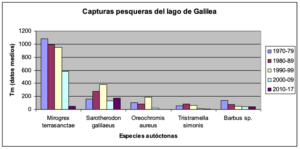 La primera multiplicación de los panes y los peces - Omnes