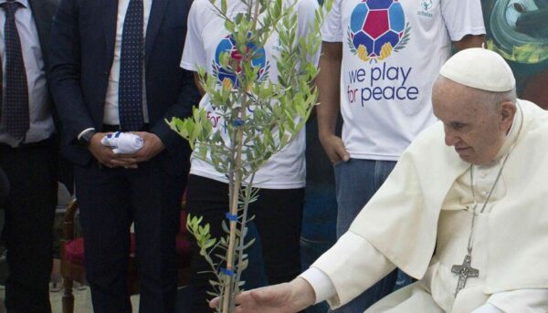 Pope links man's salvation to care for creation - Omnes